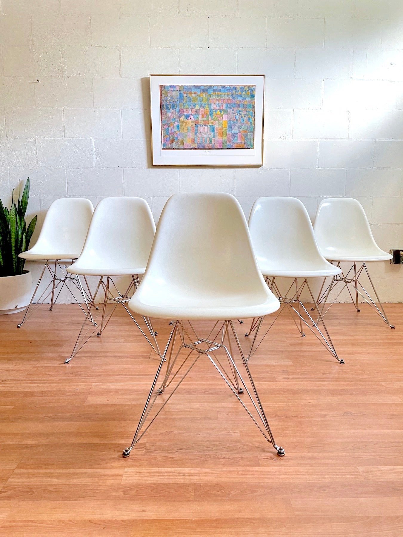 Case Study Shell Chairs by Modernica (set of 6) – Warehaus Orlando